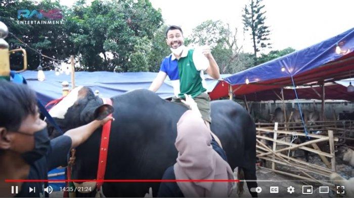 Penampakan Sapi Kurban Raffi Ahmad, Beratnya Hampir 1,4 Ton : Maskot Gunung Kidul - Halaman 2 ...