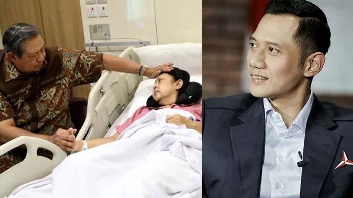 Berita Ruby Rajasa Terbaru Hari Ini - Tribunnewsbogor.com