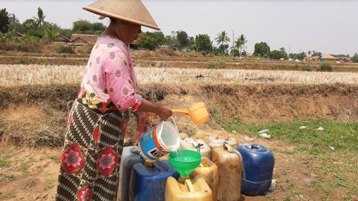 Jonggol Kekeringan Setelah Tak Hujan 3 Bulan, Warga Kesulitan Air Bersih - Tribunnewsbogor.com