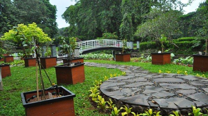 Luncurkan Empat Taman Baru, Kebun Raya Bogor Perkaya Koleksi Botani ...