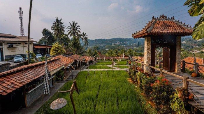 Ngopi di Sawah, Tempat Kuliner Bogor untuk Menyantap Makanan Sambil ...