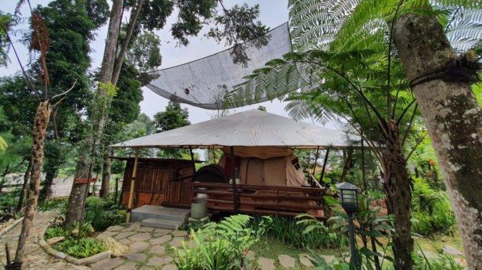 Lagi Hits, 5 Tempat Wisata Glamping di Bogor Ini Punya View Pegunungan ...