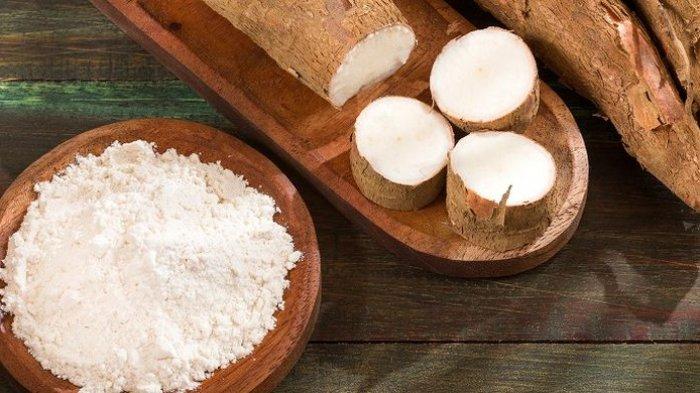 Peluang Bisnis Olahan Tepung Gaplek dari Singkong, Dosen IPB University ...