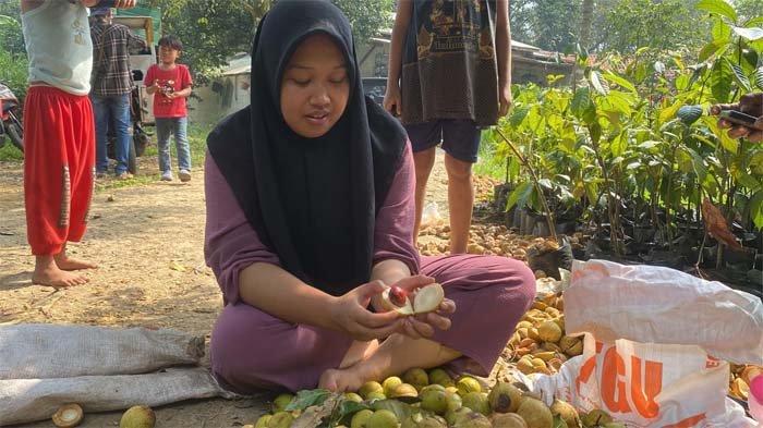 Berawal Dari Keresahan, Wanita Asal Leuwisadeng Bogor Sulap Buah Pala ...