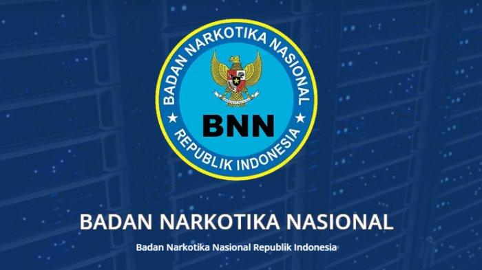 BNN Buka Lowongan PPPK 2023, Gaji Mulai Rp 8 Juta hingga Belasan Juta - Tribunnewsbogor.com