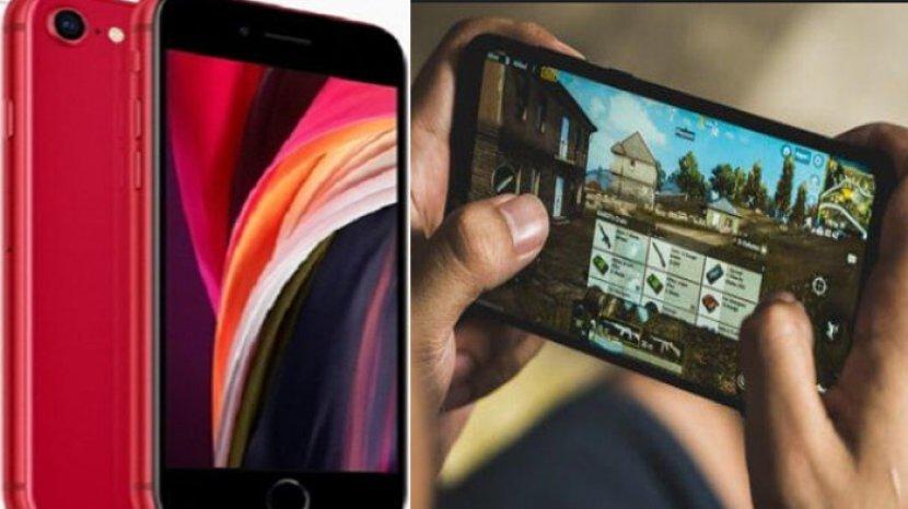 Harga HP iPhone Edisi Juni 2024: iPhone 11, iPhone 12, iPhone 13 Mini ...