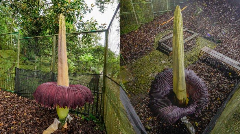 Destinasi - Travel - Tribunnewsbogor.com