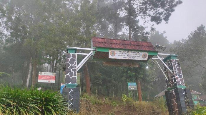 Jalur Pendakian Apuy Gunung Ciremai Majalengka Dibuka untuk Rayakan Tahun Baru, Segini Biayanya ...