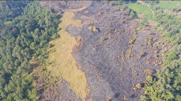 Lahan Seluas 12 Hektare Lebih di Gunung Masigit Kareumbi Sumedang ... Lahan Seluas 12 Hektare Lebih di Gunung Masigit Kareumbi Sumedang ...