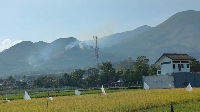 Gunung Putri di Garut Terbakar, BPBD Sebut Kebakaran Terjadi di Sejumlah Titik - Tribuncirebon.com