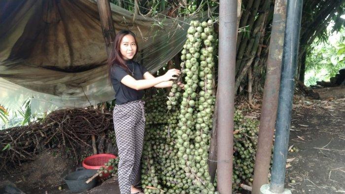 Pipit Pitriani Perempuan Cantik yang Jualan Kolang-kaling di Majalengka, Bisa Raup 1 Juta Per ...