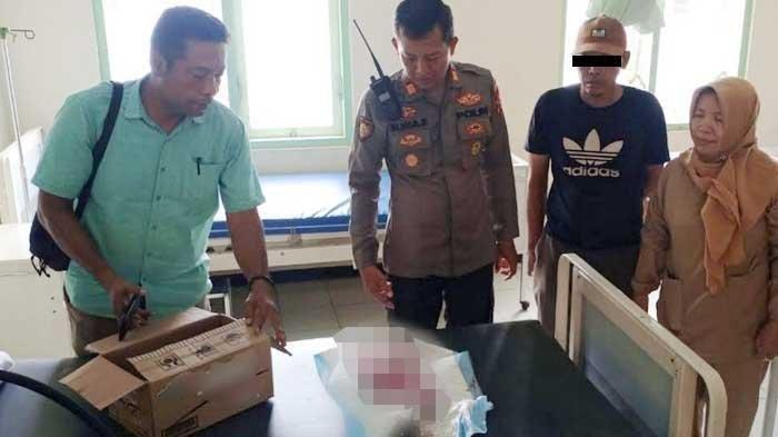 Suami Kades di Tulungagung Ngaku Nemu Bayi di Kardus, Ternyata Anaknya ...