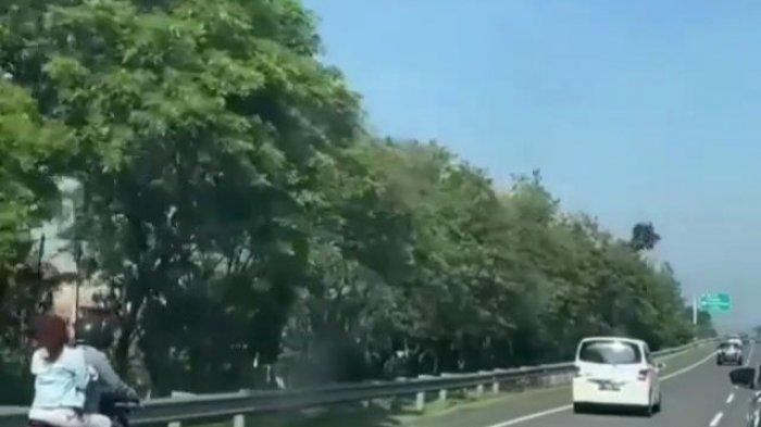 Pemotor Masuk Jalan Tol Baros Cimahi, Penumpang Tak Pakai Helm, Perekam Sebut dari Arah Kota ...