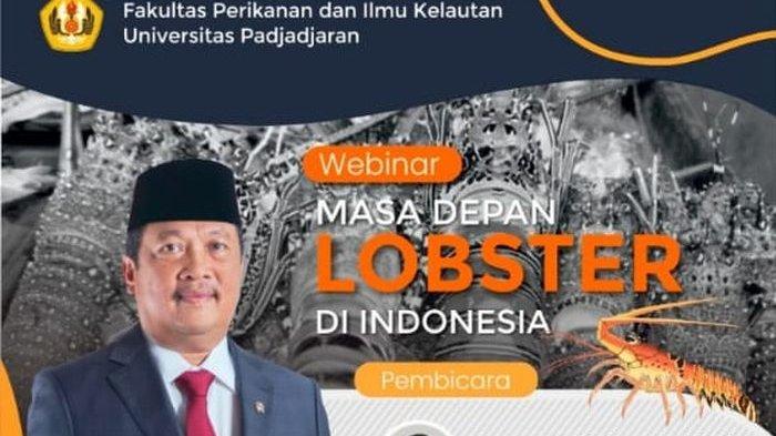 Masa Depan Lobster di Indonesia, Komoditas Unggulan yang Menjadi Sumber Devisa Negara ...