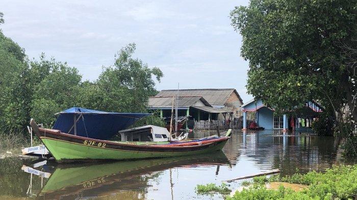 Ratusan Hektare Tambak Ikan di Muaragembong Bekasi Gagal Panen Akibat Banjir Rob ...