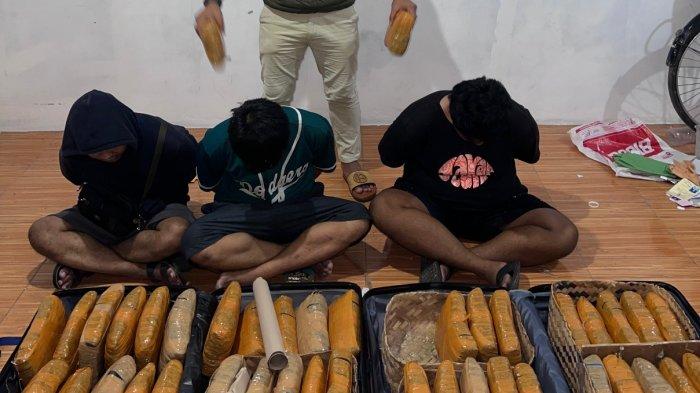 Polisi Sita 41 Kilogram Ganja dari Dua Pengedar yang Ditangkap di ...