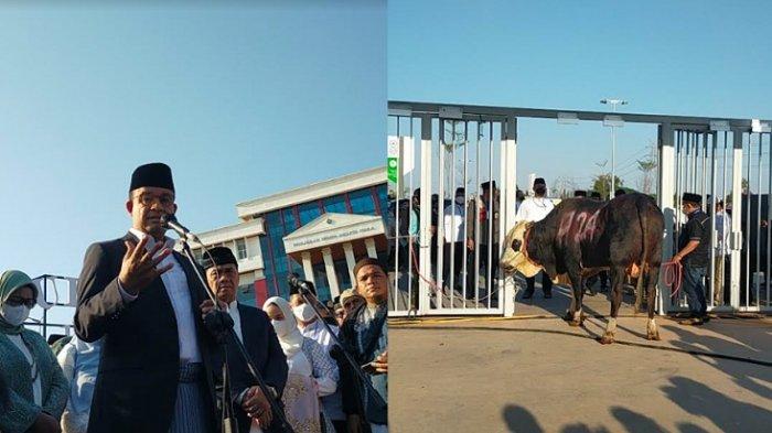 Gubernur DKI Jakarta Anies Baswedan Sumbang 4 Ekor Sapi saat Idul Adha ...