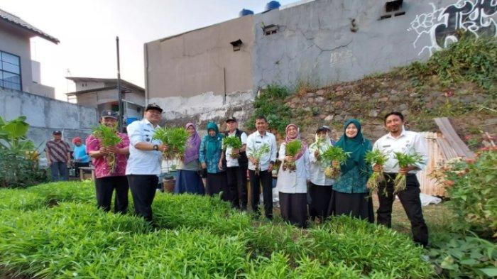 Kabar Kecamatan Tapos Depok, Pemkot Depok Panen Kangkung dan Lele di ... Kabar Kecamatan Tapos Depok, Pemkot Depok Panen Kangkung dan Lele di ...