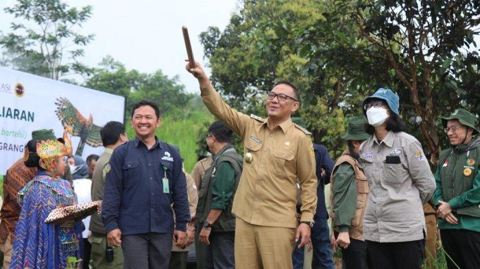 Kawasan Cisarua Bogor Jadi Habitat Elang Jawa, Ini Populasinya di Indonesia - Tribunnewsdepok.com