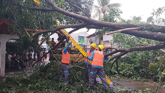 Diterpa Hujan Angin, Pohon Besar di Pancoran Mas Depok Tumbang Menutupi Akses Jalan Raya Tanah ...
