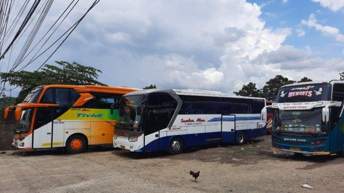 Belum Ada Lonjakan Penumpang di Terminal Parung, Warga Sudah Ada yang ...
