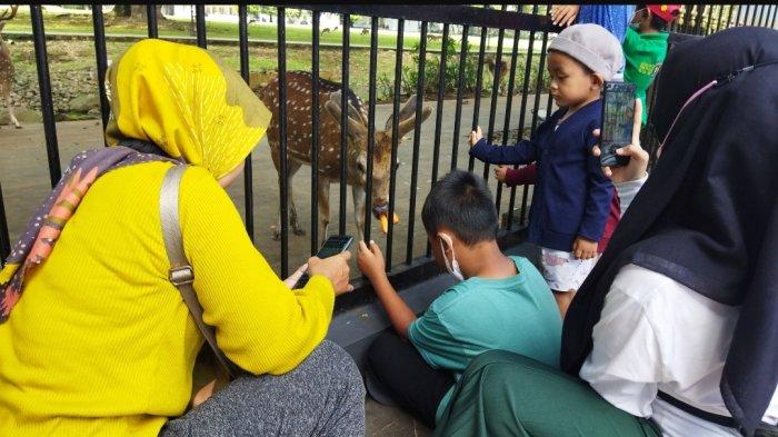 Cegah Penyebaran Penyakit Mulut dan Kuku, Pemkot Bogor Bakal Gelar Uji ...