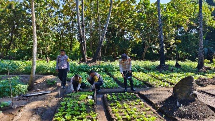 Polres Flores Timur Tanam Pohon Cegah Bencana dan Dukung Ketahanan ...