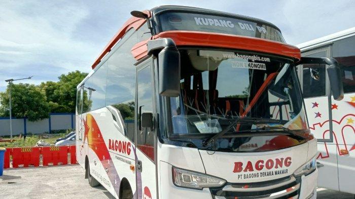 Angkutan Lintas Batas Negara Beroperasi, Ini Tarif Bus Kupang - Dili ...