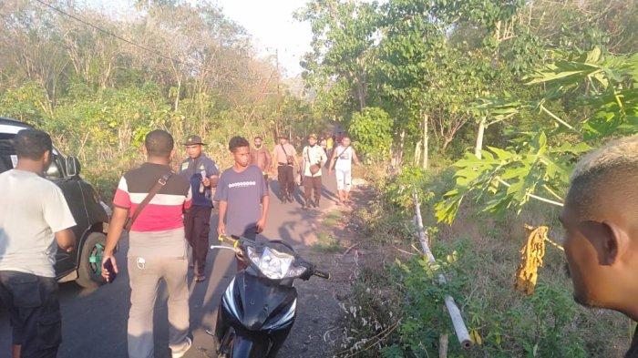 Tiga Tembakan Peringatan Polisi Bikin Penjudi Sabung Ayam di Sikka Lari ...