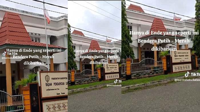 Viral Video, Bendera Merah Putih Dikibarkan Terbalik di Bapenda Ende ...