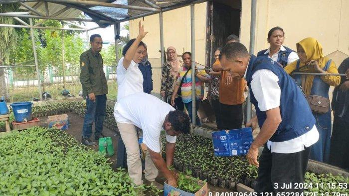 Distan Pertanian Ende Terapkan Gerakan Tanam Cabai di Pekarangan, Inovasi Tekan Inflasi Daerah ...