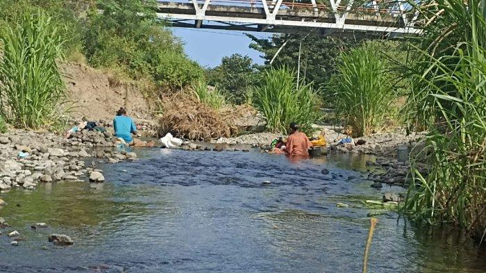 Krisis Air Bersih, Warga Talibura Mandi dan Cuci Pakaian Pakai Air Keruh di Kali Wair Hek ...