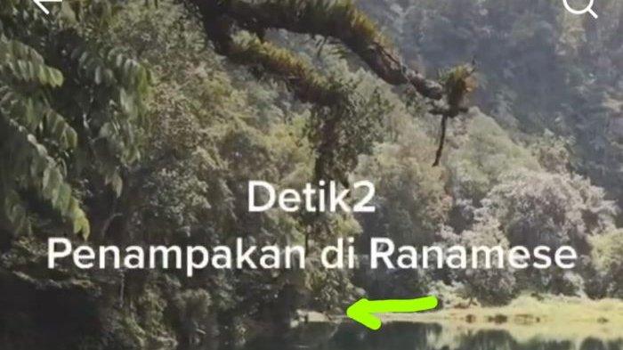 Viral Video Detik-detik Penampakan di Danau Ranamese, Bikin Netizen Penasaran - Tribunflores.com