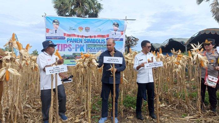 Gubernur Viktor Laiskodat Puji Program TJPS Di Lembata: Kolaborasi Sudah Jalan - Tribunflores.com