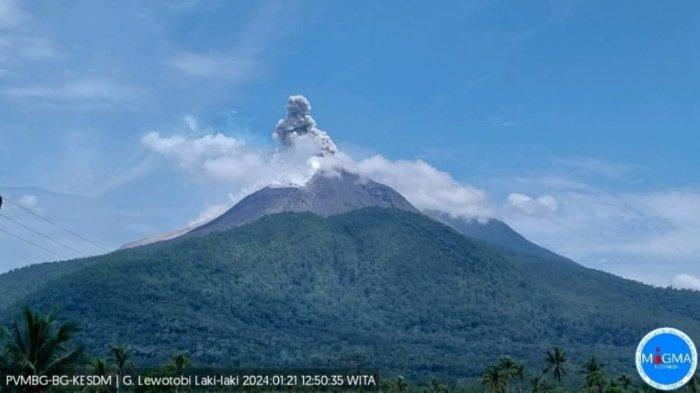 Gunung Lewotobi Laki-Laki Kembali Semburkan Abu Setinggi 700 Meter - Tribunflores.com
