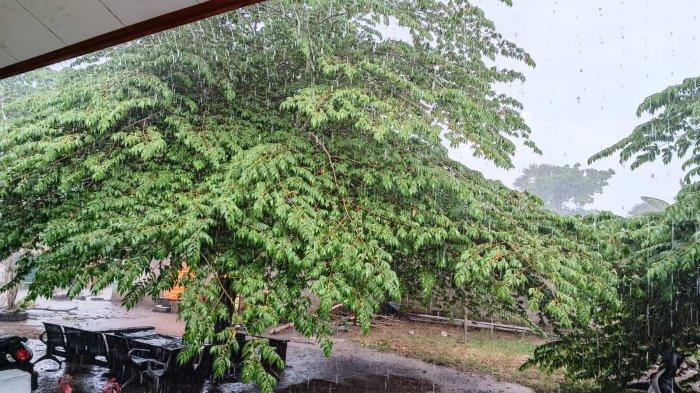 BMKG: Sejumlah Wilayah di Indonesia Berpotensi Dilanda Hujan Lebat 21-23 Januari 2025 ...