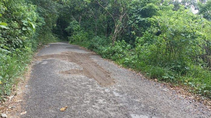 Kapolsek Bola Telusuri Oknum Palak Pengguna Jalan Waipare-Bola ...