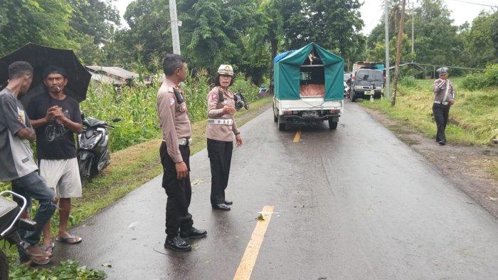 Pohon Tumbang di Hoder, 3 Jam Jalan Maumere-Larantuka Macet Kini Sudah ...
