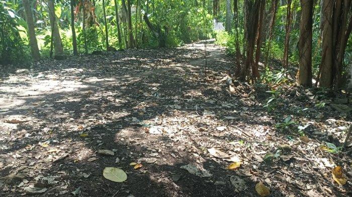 Pengunjung Minta Tutup Jalan Tikus Menuju Pantai Cepi Watu Borong ...