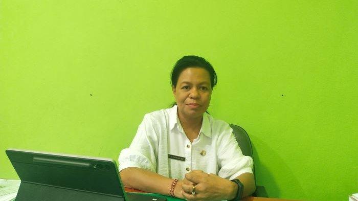 Penilaian Survei Kesehatan Indonesia Kemenkes RI Kabupaten Ngada ...