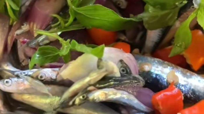 Lawar Ikan Jele Khas Larantuka Viral di Tik Tok, Intip Cara ...