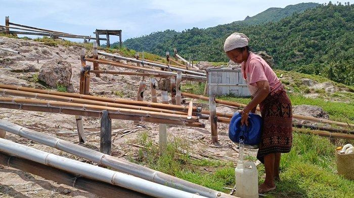 Penyulingan Air Minum dari Uap Panas Bumi Rokatenda, Kearifan Lokal ...