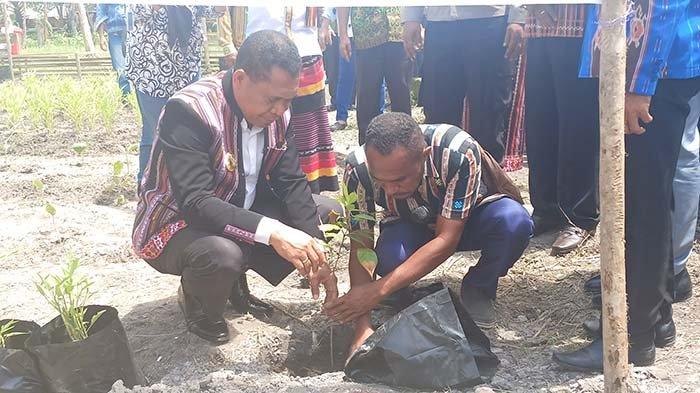 Atasi Stunting, Pemda Alor Launching Gerakan Pengembangan Pekarangan ...