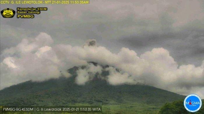 Gunung Lewotolok di Lembata Erupsi Disertai Gemuruh Lemah ...