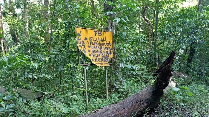 Rambu Penunjuk Jalur Evakuasi di Lereng Gunung Api Egon Sikka Rusak ...