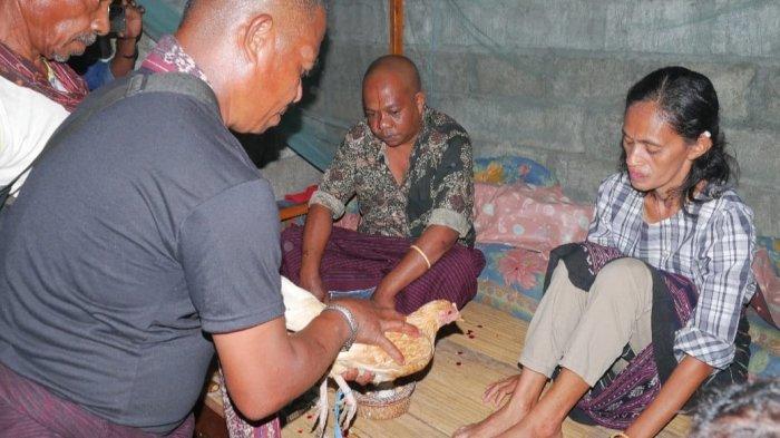 Ritual Tetes Darah Ayam Menimbah Kekuatan Leluhur di Nawokote Flores ...