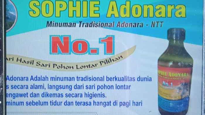 Pemda Flotim Cari Investor Garap Sophie Adonara - Tribunflores.com