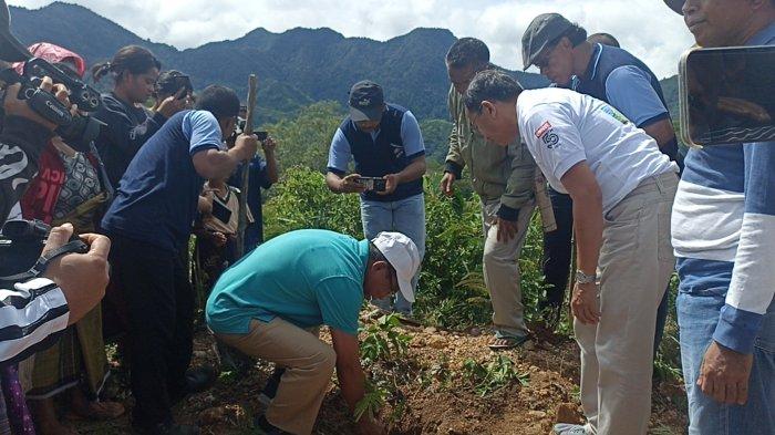 JPIC Keuskupan Ruteng dan Paroki Ponggeok Tanam Ribuan Pohon di Poco ...