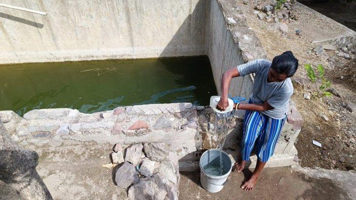 Warga Desa Lidi di Pulau Palue Andalkan Air Hujan, Air Bersih Beli di ...