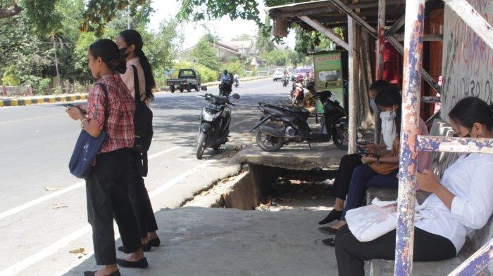 Empat Jam Mahasiswa Unipa Tunggu Angkutan Kota di Maumere,Ternyata ...